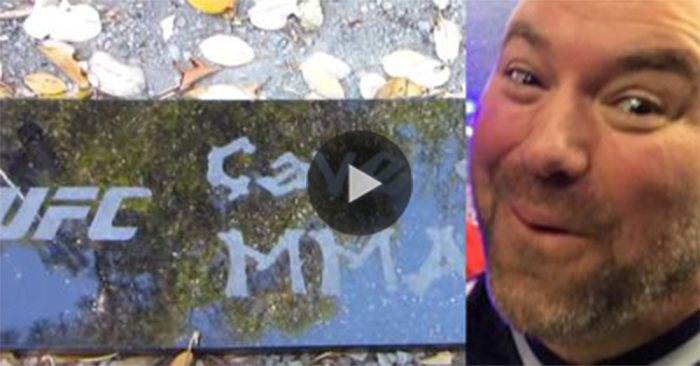 Super Fan Creates The Ultimate UFC Man Cave - MMA Imports