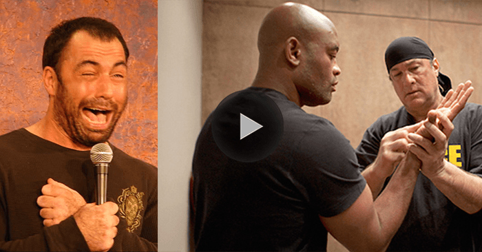 Joe Rogan Destroys Steven Seagal's Martial Arts Effectiveness ... And ...