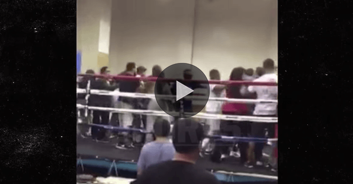 Crazy Fan Brawl Erupts At Golden Gloves Boxing Event, Sparks National ...