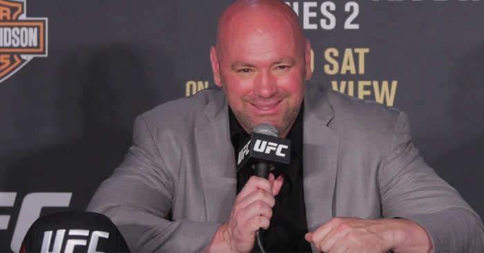 UFC Officials Announce Three New Bouts For Next Brazil Event - MMA Imports