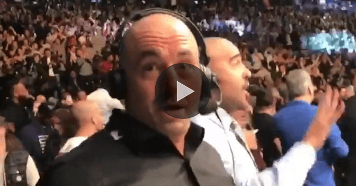 Joe Rogan's Final Post-Fight Reaction To UFC 217 Sums Up Saturday Night ...