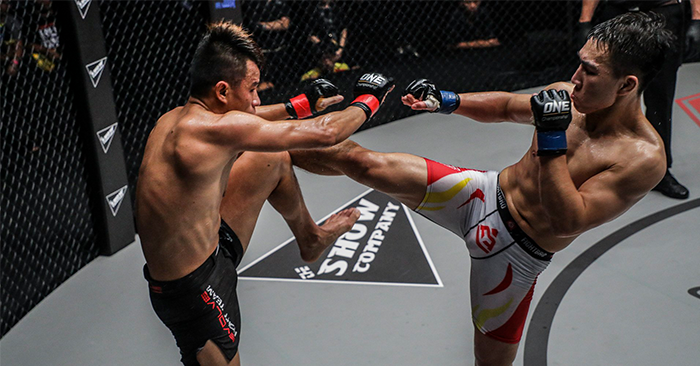 asdfasdfa - MMA Imports