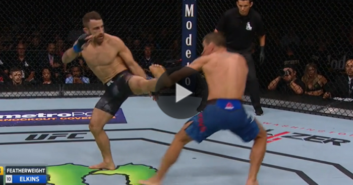 asdfasdfasdf - MMA Imports